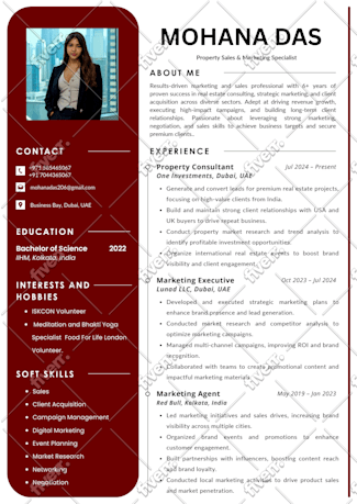 Be your professional cv maker, resume writer as a cv expert by Afshan_222 | Fiverr